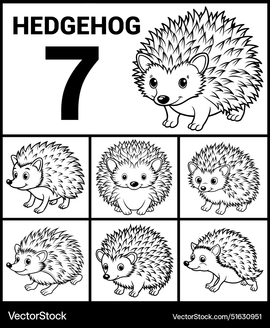 Hedgehog outline set Royalty Free Vector Image