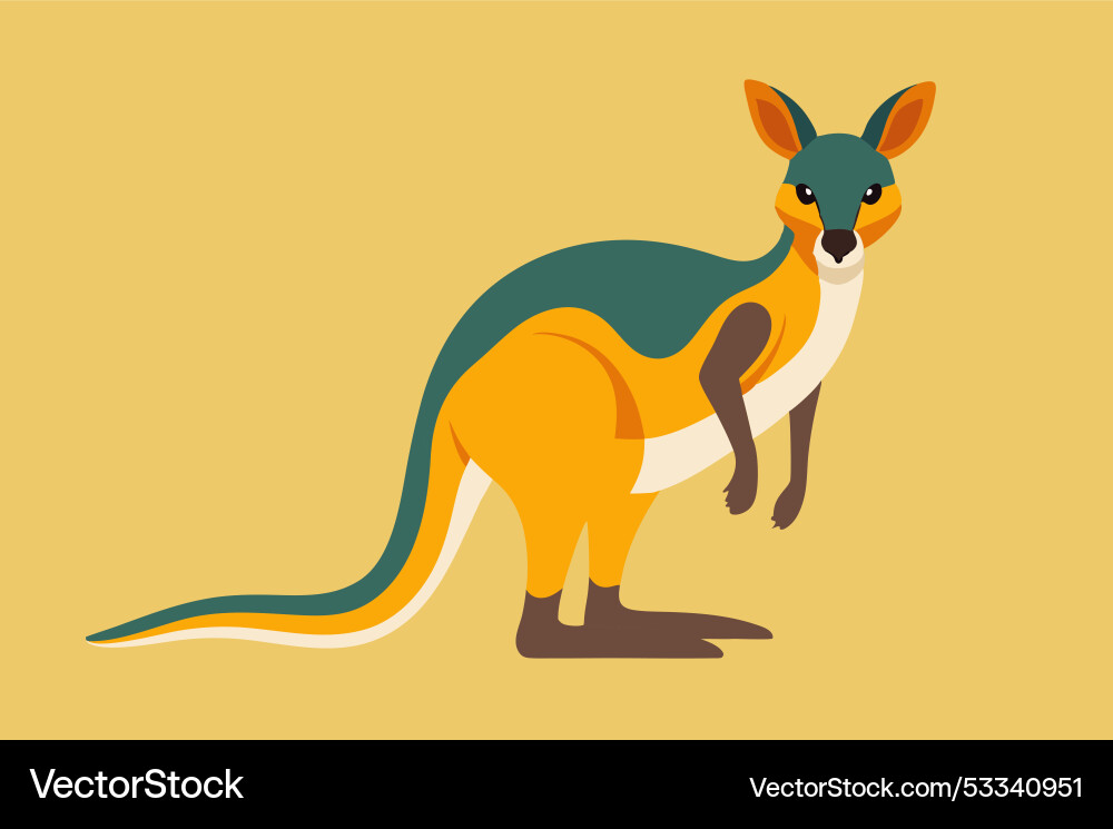 Wallaby high quality wildlife Royalty Free Vector Image