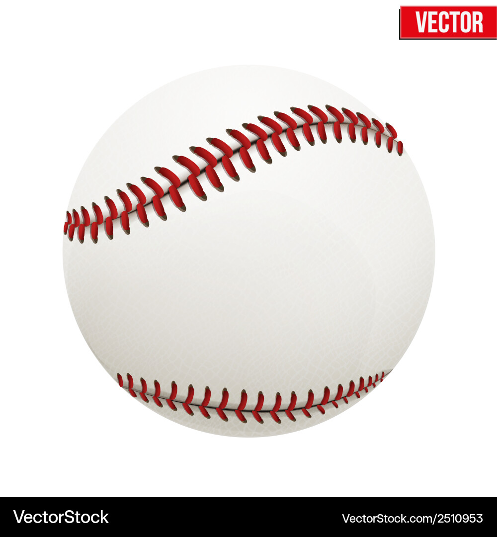 Baseball Leather Ball Royalty Free Vector Image