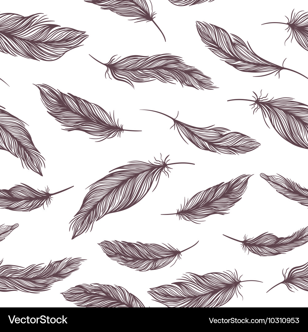 Feather pattern Royalty Free Vector Image - VectorStock