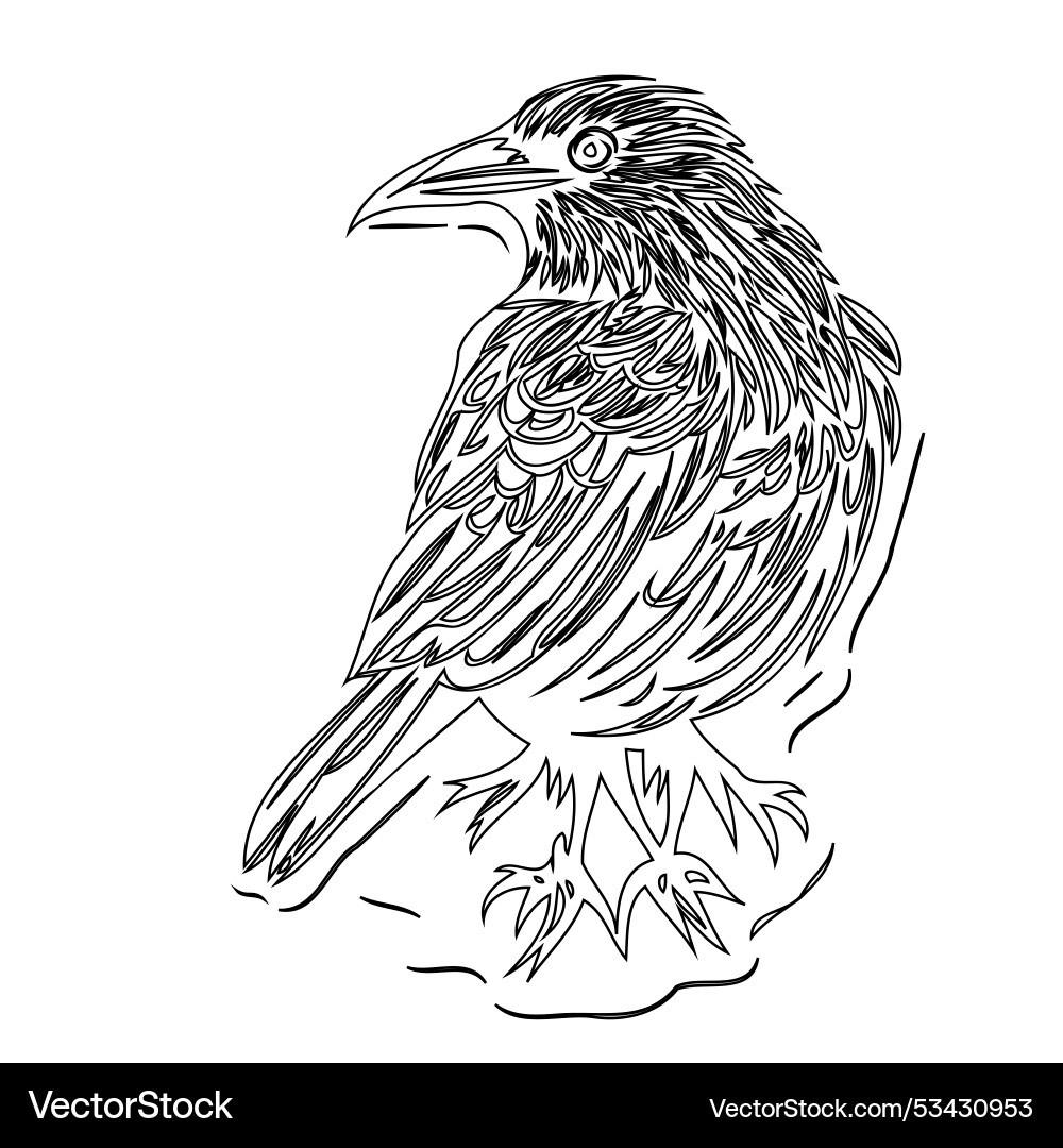 Raven or crow outline sketch Royalty Free Vector Image