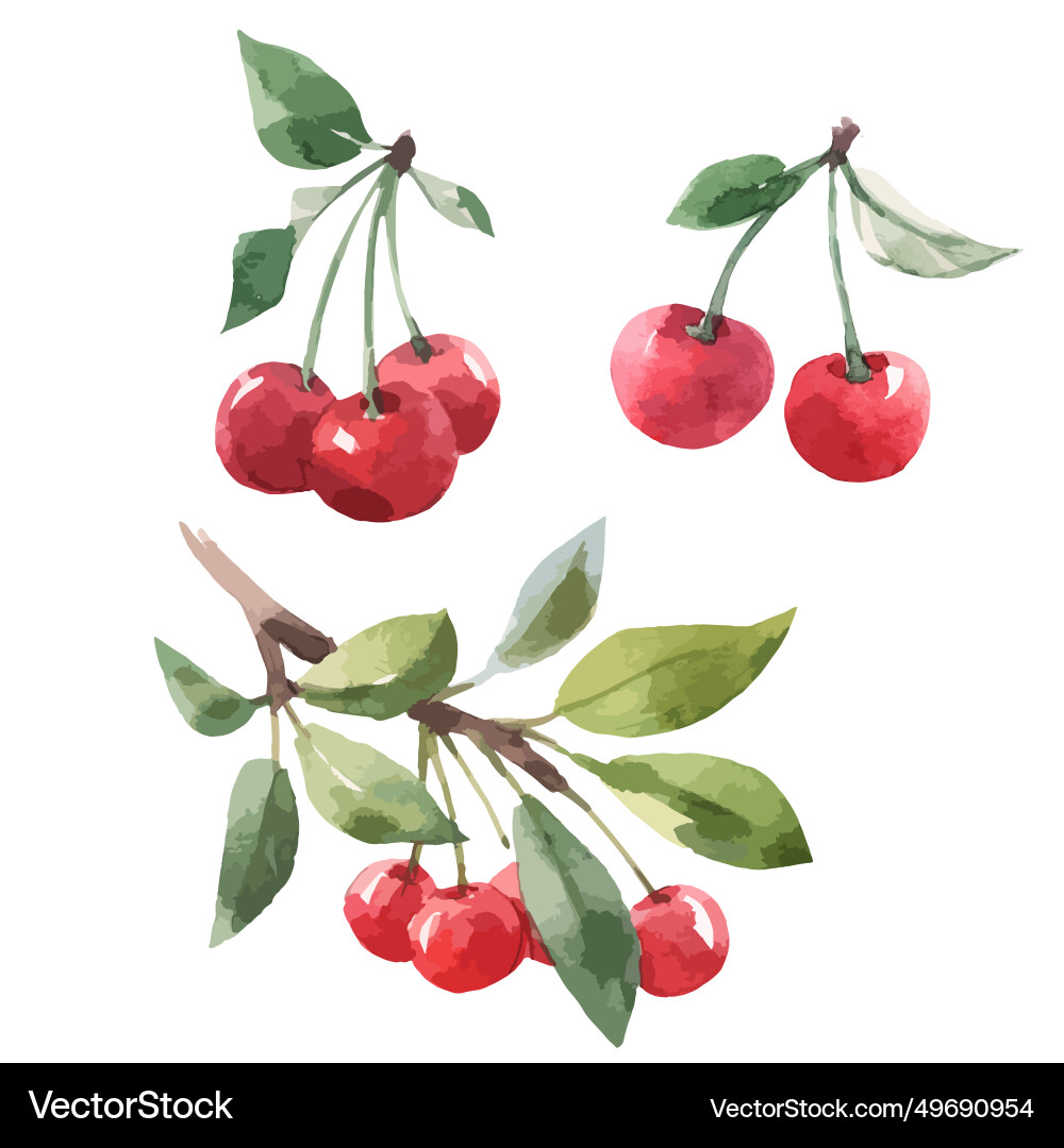 Beautiful set with hand drawn cherry Royalty Free Vector