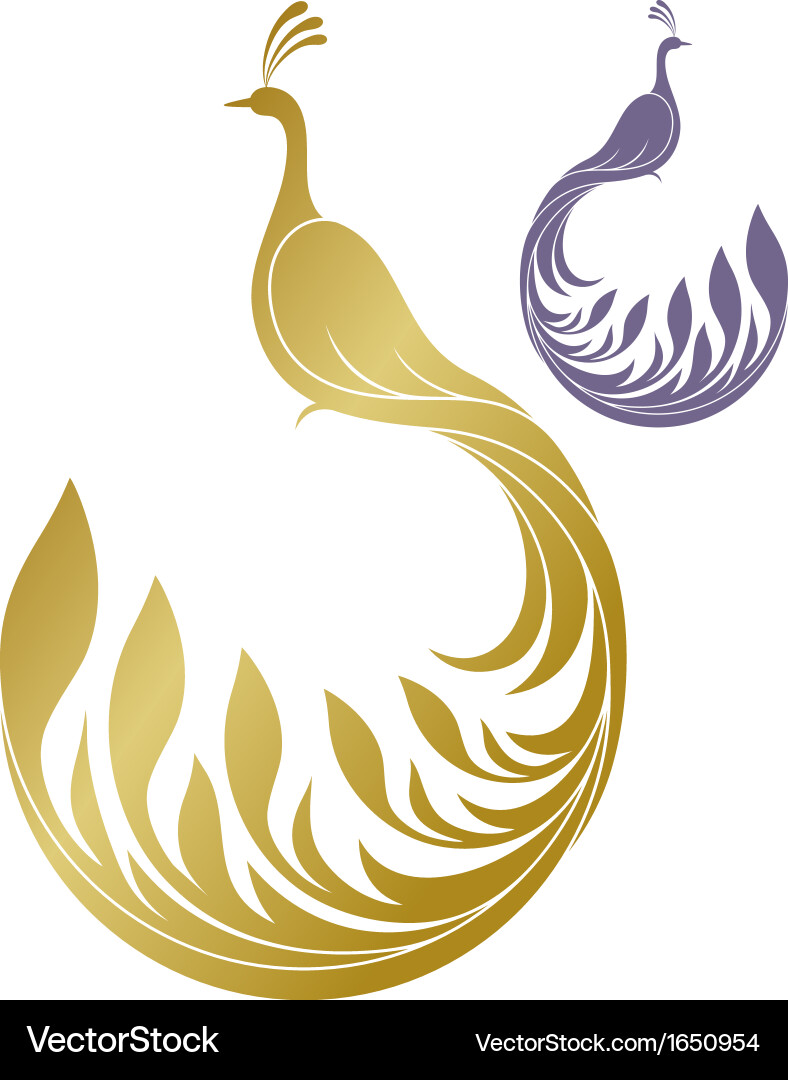 Peacock Royalty Free Vector Image - VectorStock