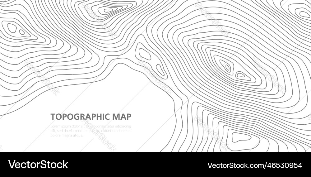 Topographic Grid Texture - Relief Contour Vector Image