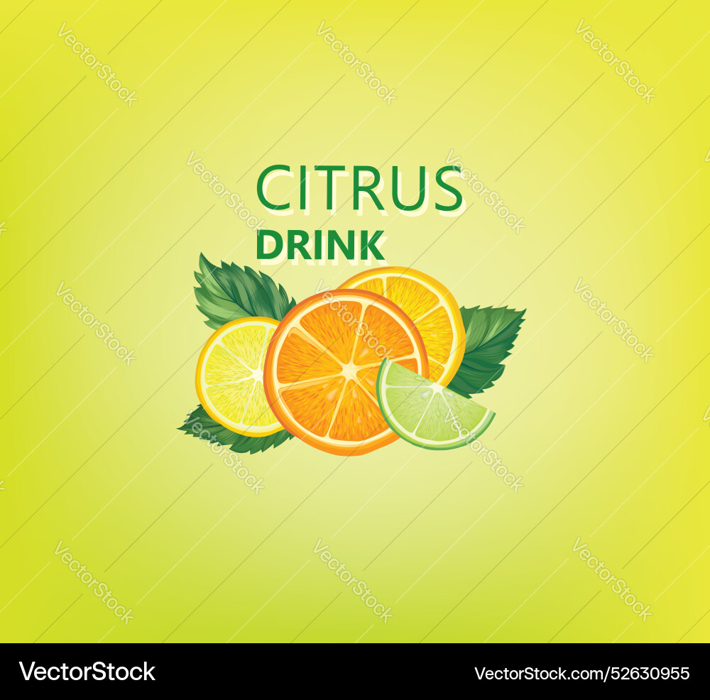 Fresh fruits with mint leaves orange lime Vector Image