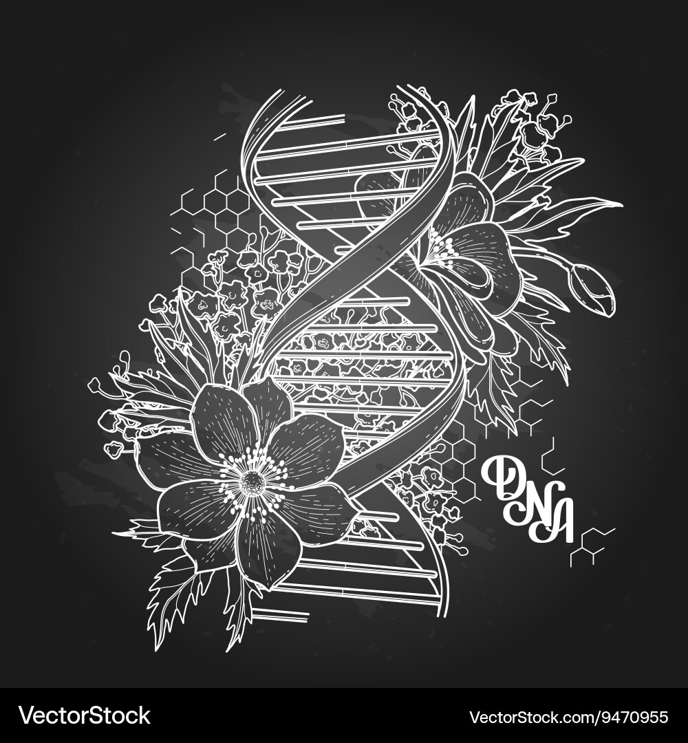 Graphic dna structure Royalty Free Vector Image