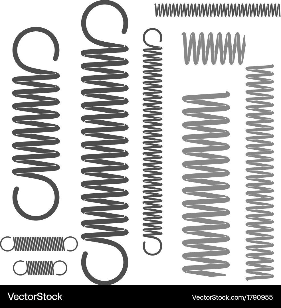 Springs Royalty Free Vector Image - VectorStock