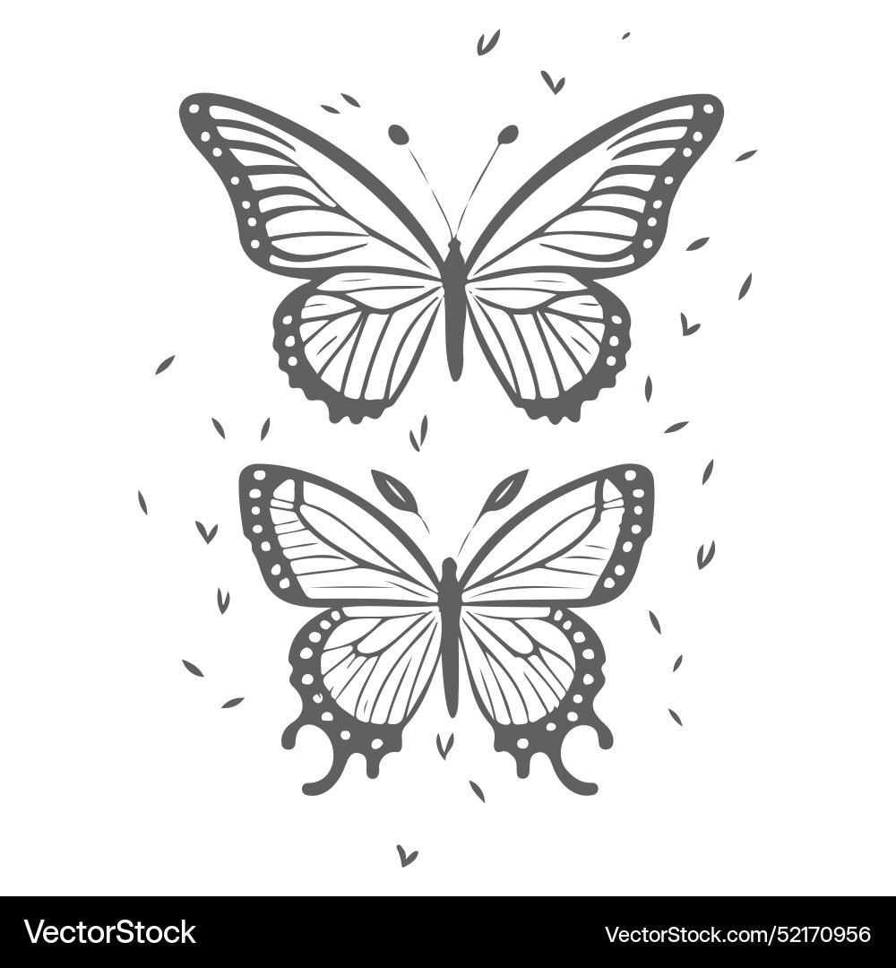 Animal butterfly sketch grey Royalty Free Vector Image