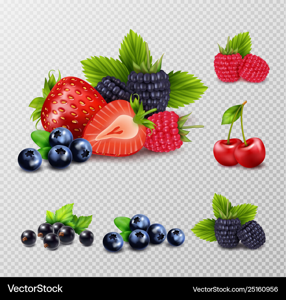 Berries and leaves set Royalty Free Vector Image