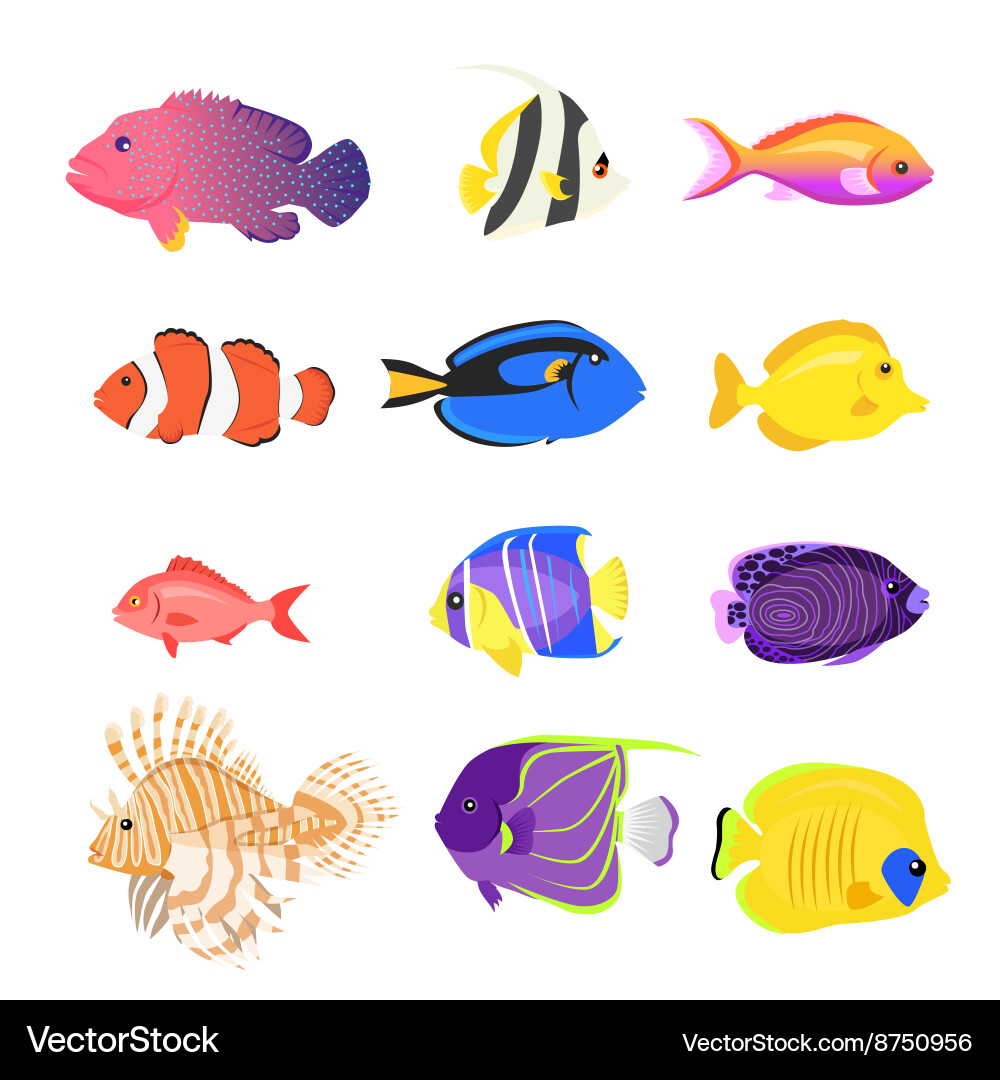 Colorful Fish Set Royalty Free Vector Image - VectorStock