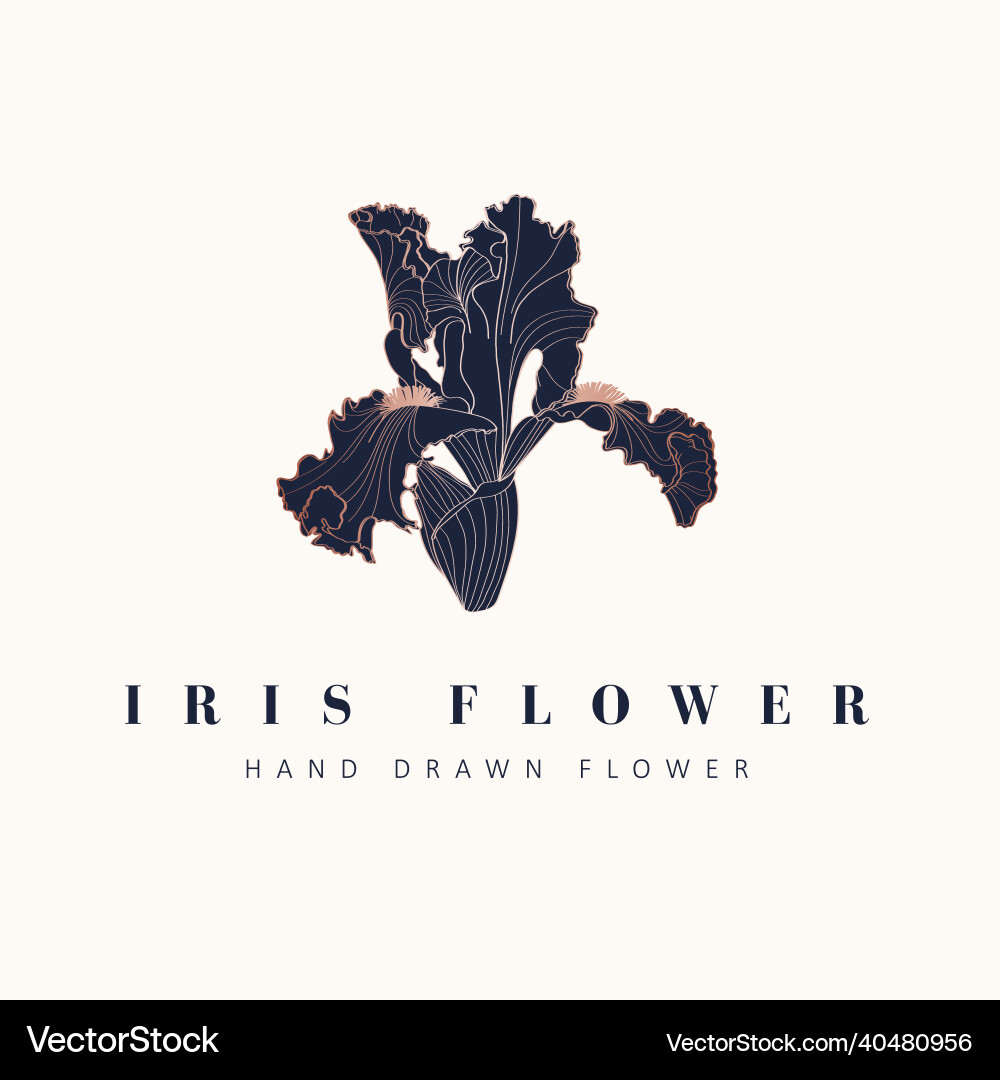 Floral golden iris flower logo design Royalty Free Vector