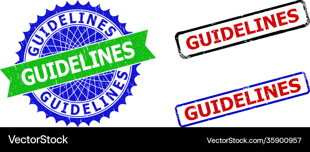 Guidelines rosette and rectangle bicolor Vector Image