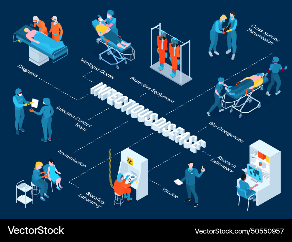 Infectious disease flowchart Royalty Free Vector Image