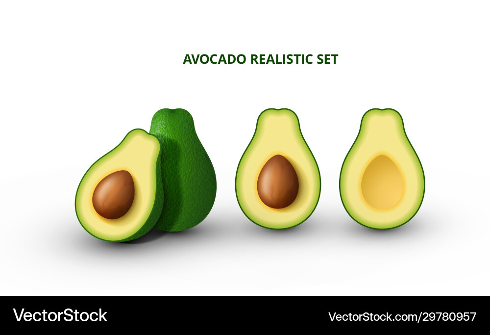 Realistic green avocado whole and cut in half Vector Image