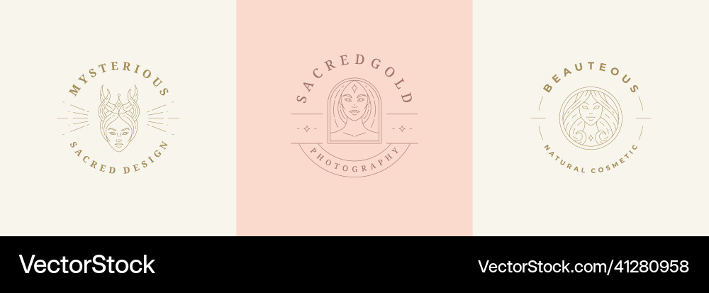 Feminine logos emblems design templates set Vector Image