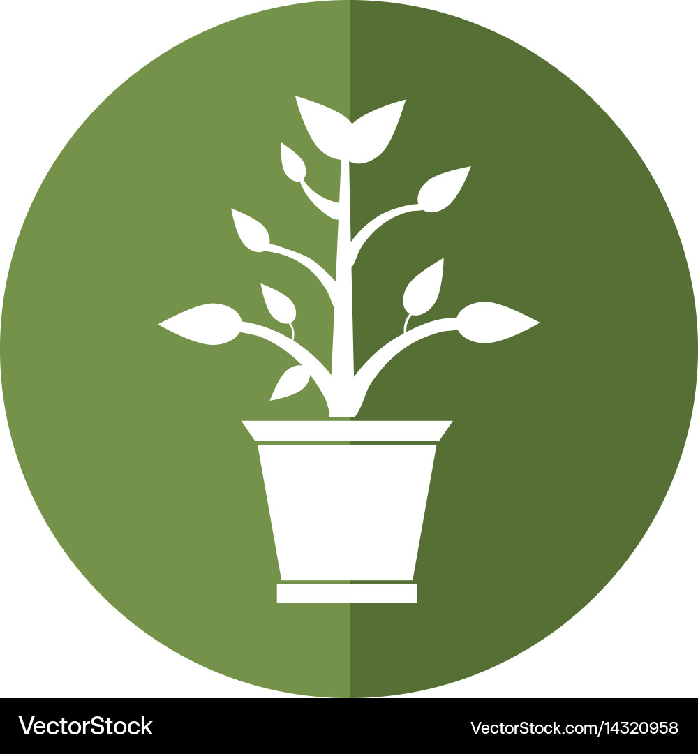 Pot plant garden shadow Royalty Free Vector Image