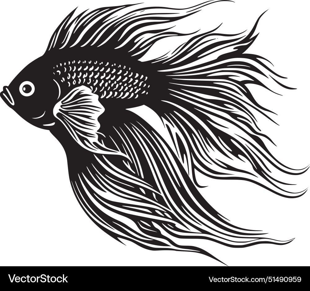 Betta fish - black and white Royalty Free Vector Image
