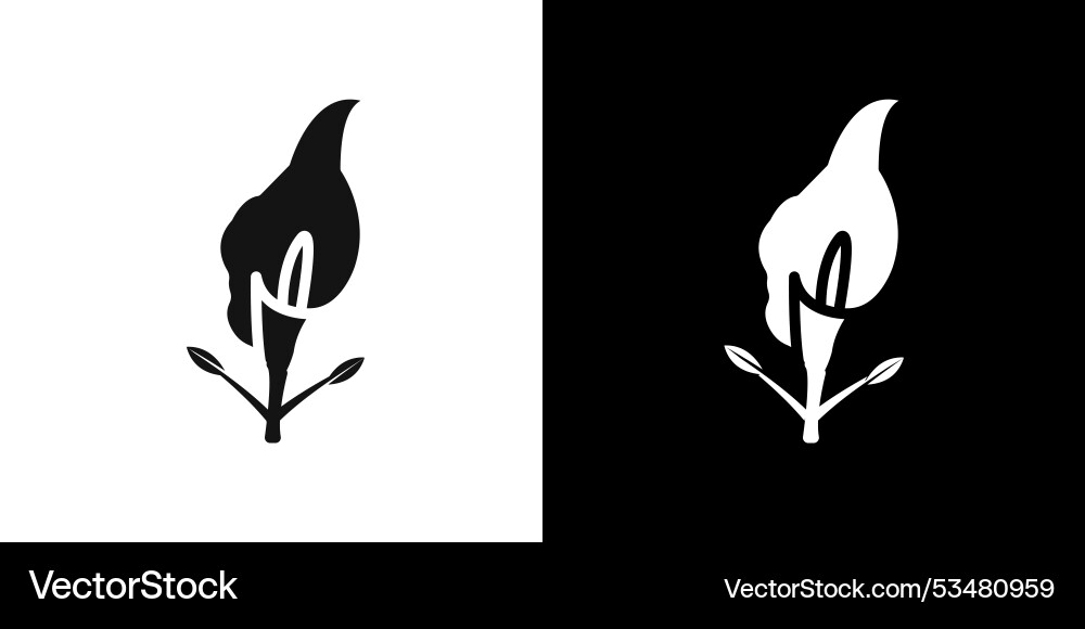 Calla icon flat set outline Royalty Free Vector Image
