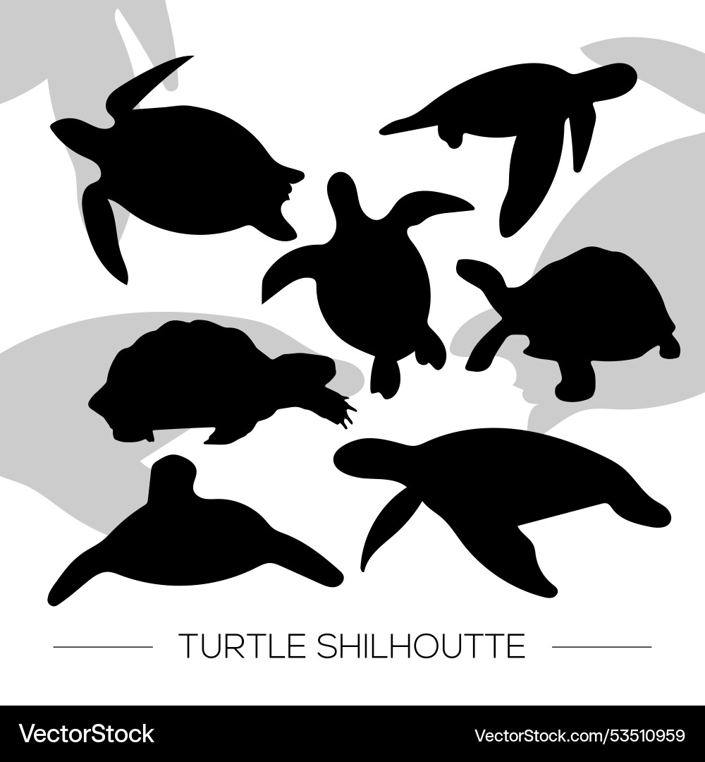 Turtle silhouette collection Royalty Free Vector Image