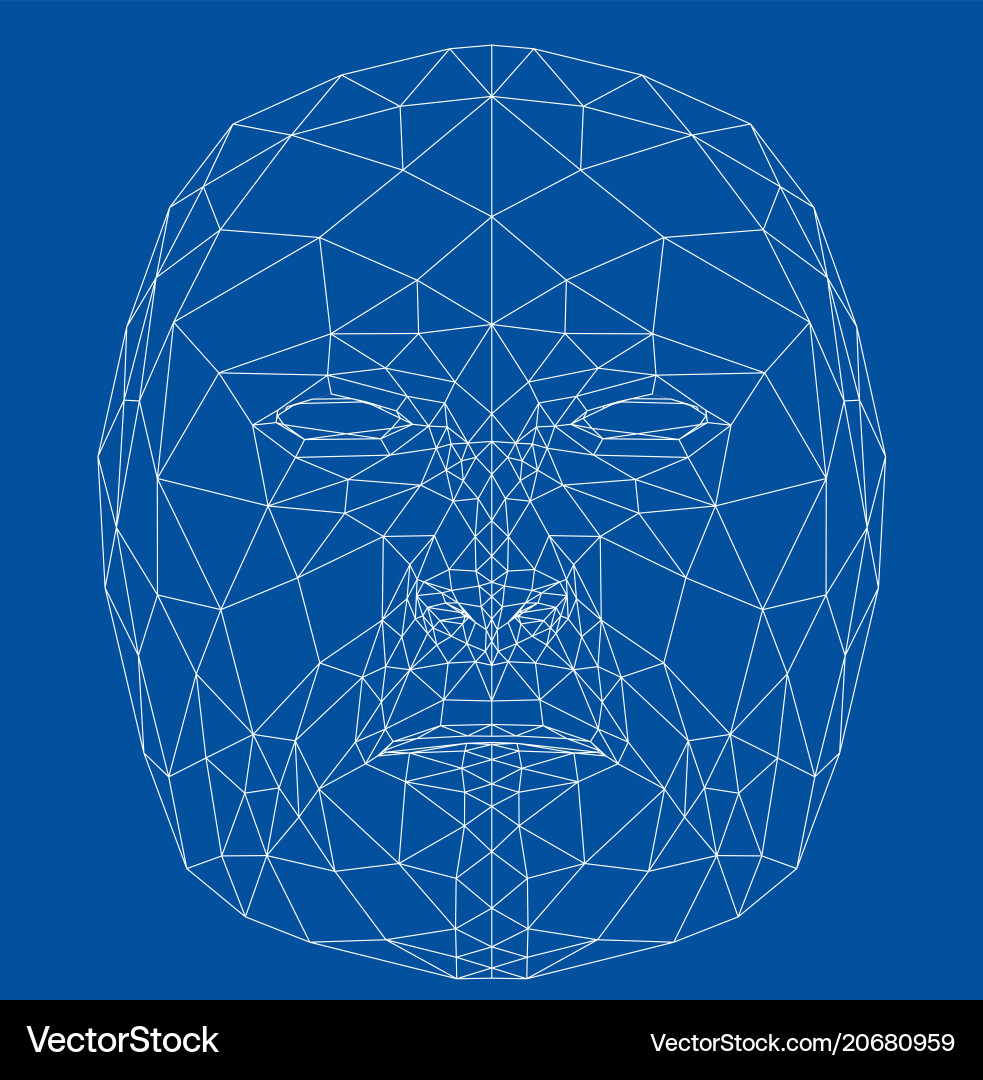 Wire-frame abstract human face Royalty Free Vector Image