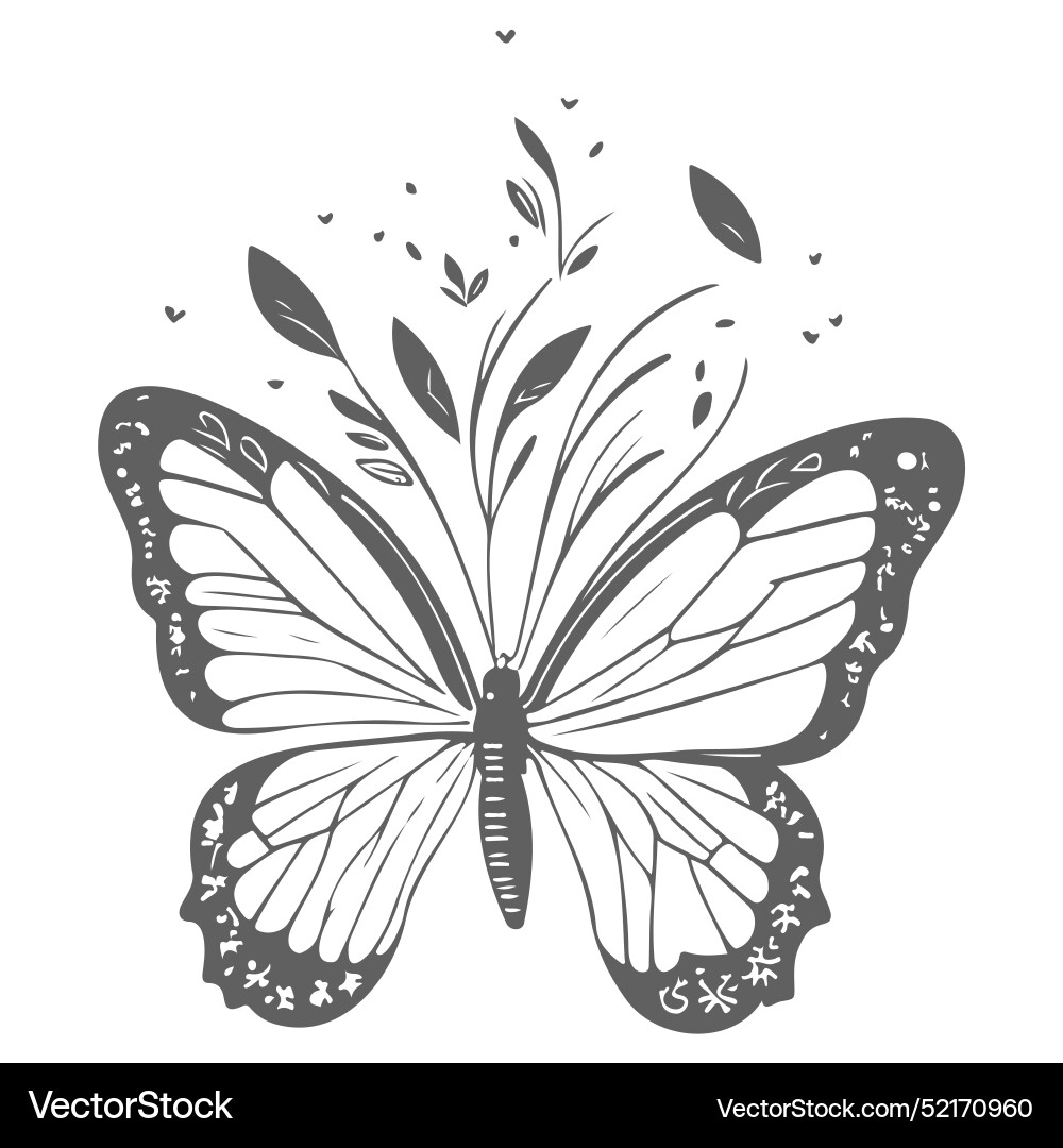 Animal butterfly sketch grey Royalty Free Vector Image