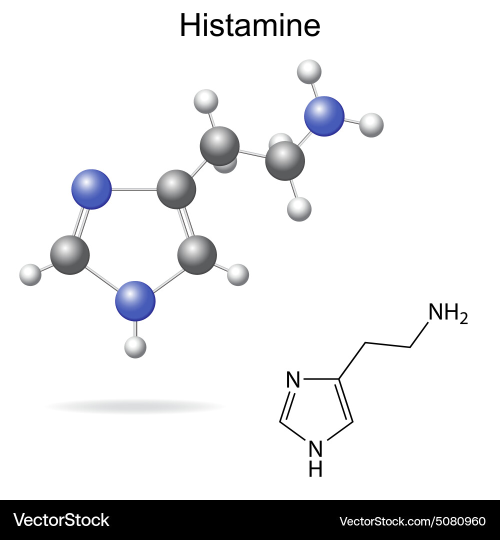 Histamine molecule Royalty Free Vector Image - VectorStock