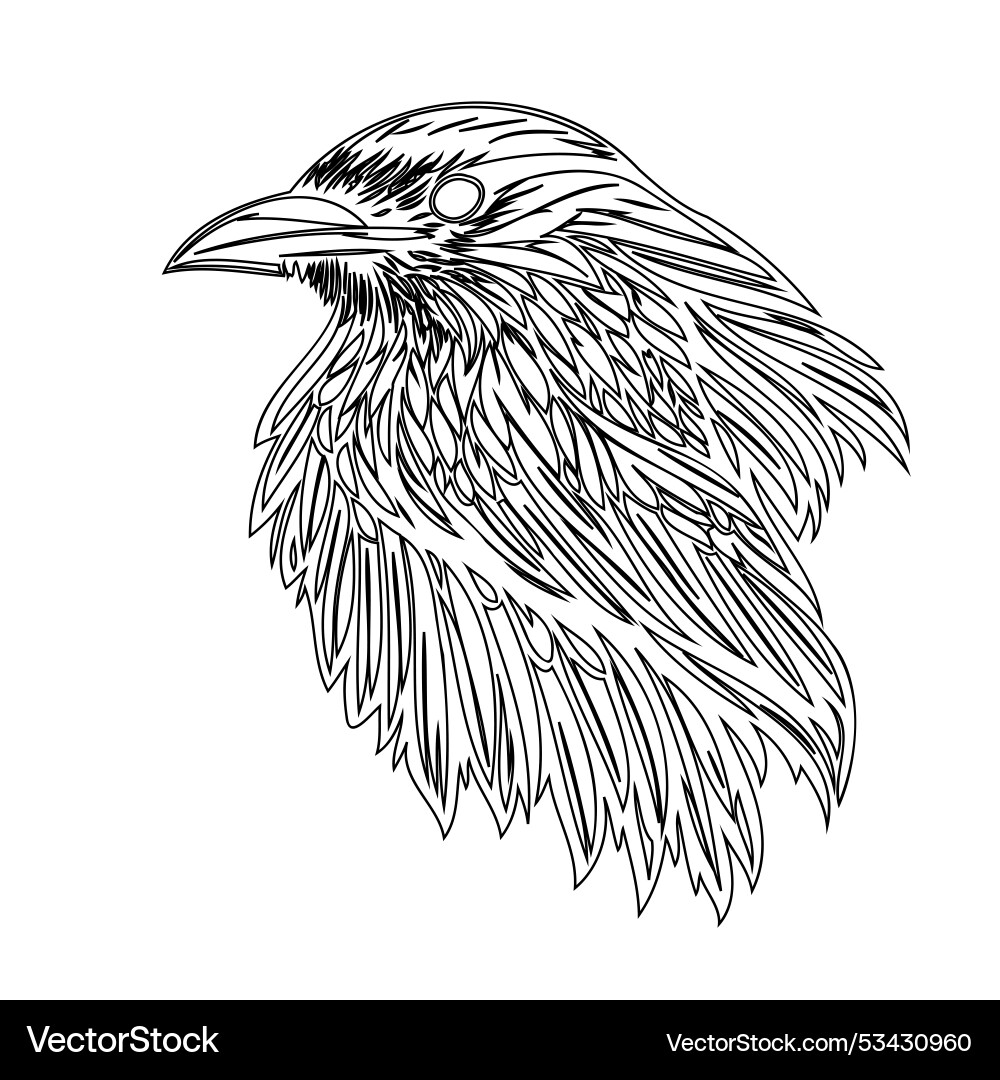 Raven or crow outline sketch Royalty Free Vector Image