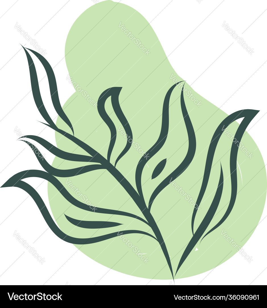 Green sea weed on white background Royalty Free Vector Image
