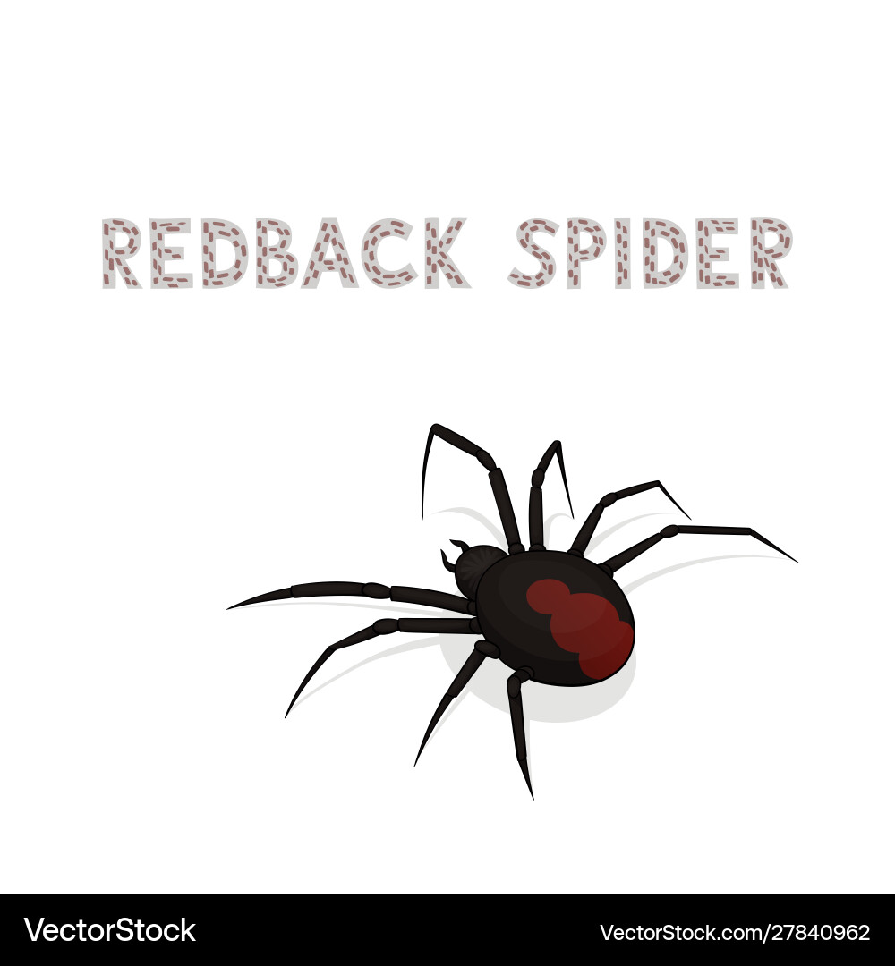 A cartoon redback spider Royalty Free Vector Image