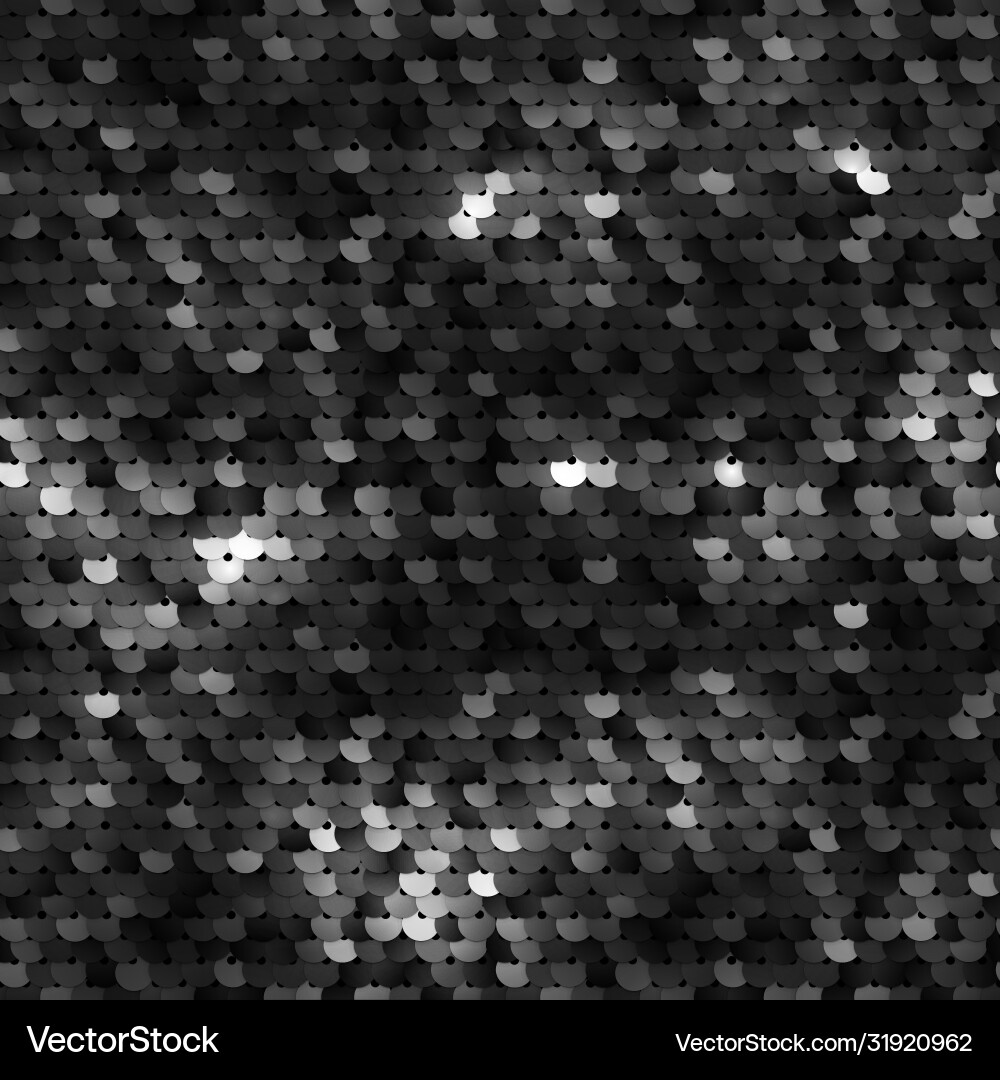 Black Sequined Fabric Texture Royalty Free Vector Image