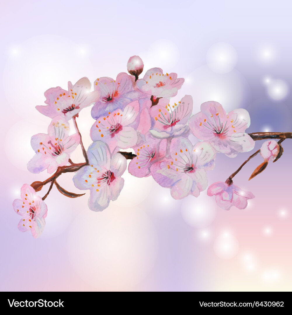 Blossom background Royalty Free Vector Image - VectorStock