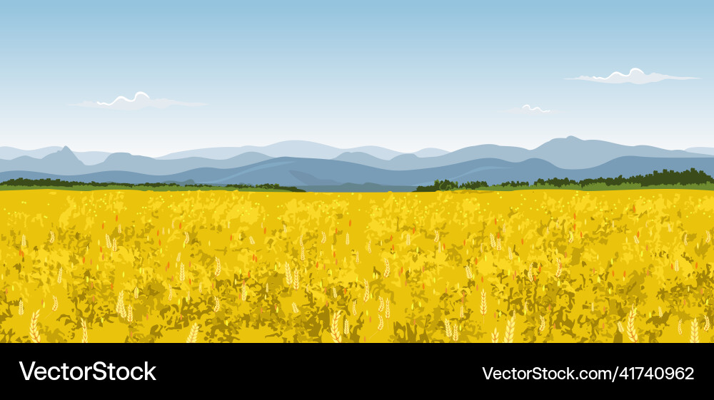 Rural landscape with wheat field against the blue Vector Image