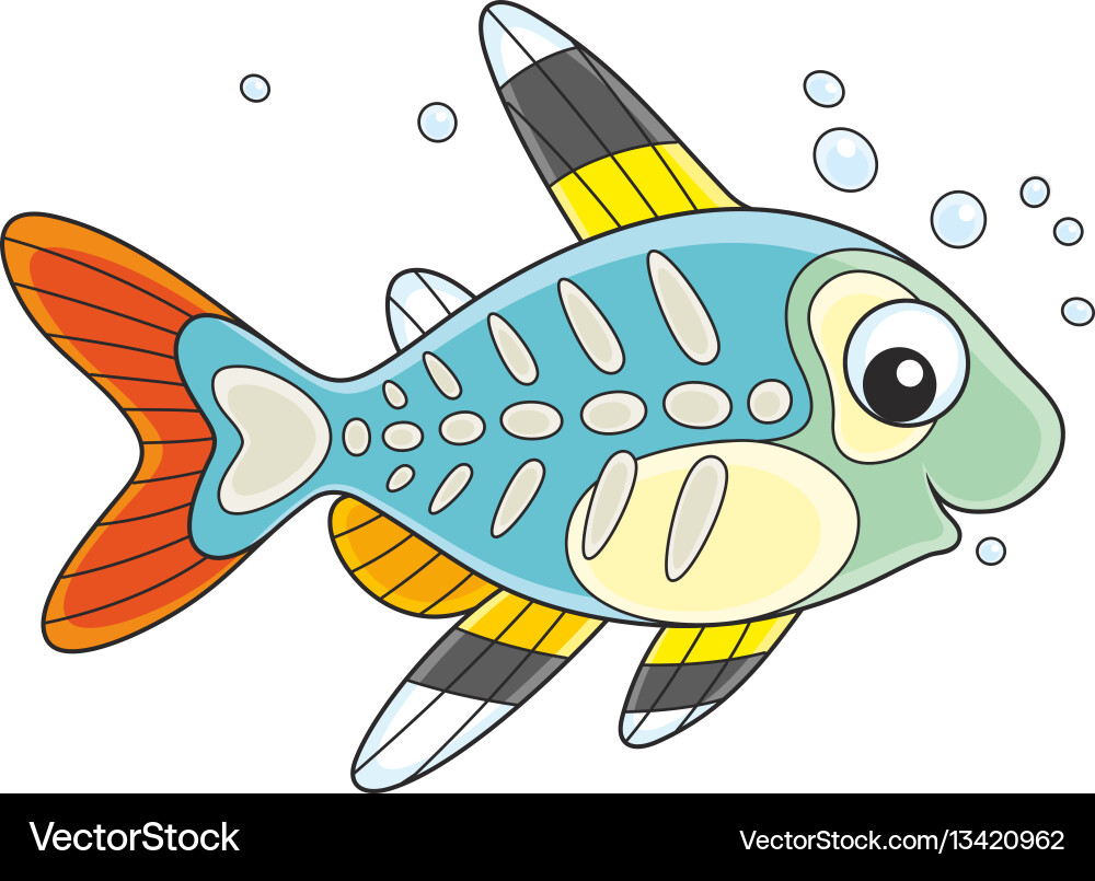 X-ray fish Royalty Free Vector Image - VectorStock