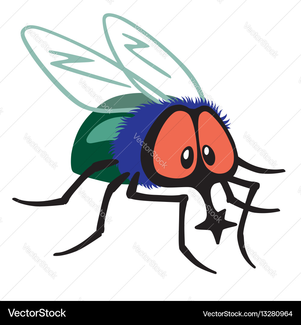 Cartoon fly Royalty Free Vector Image - VectorStock