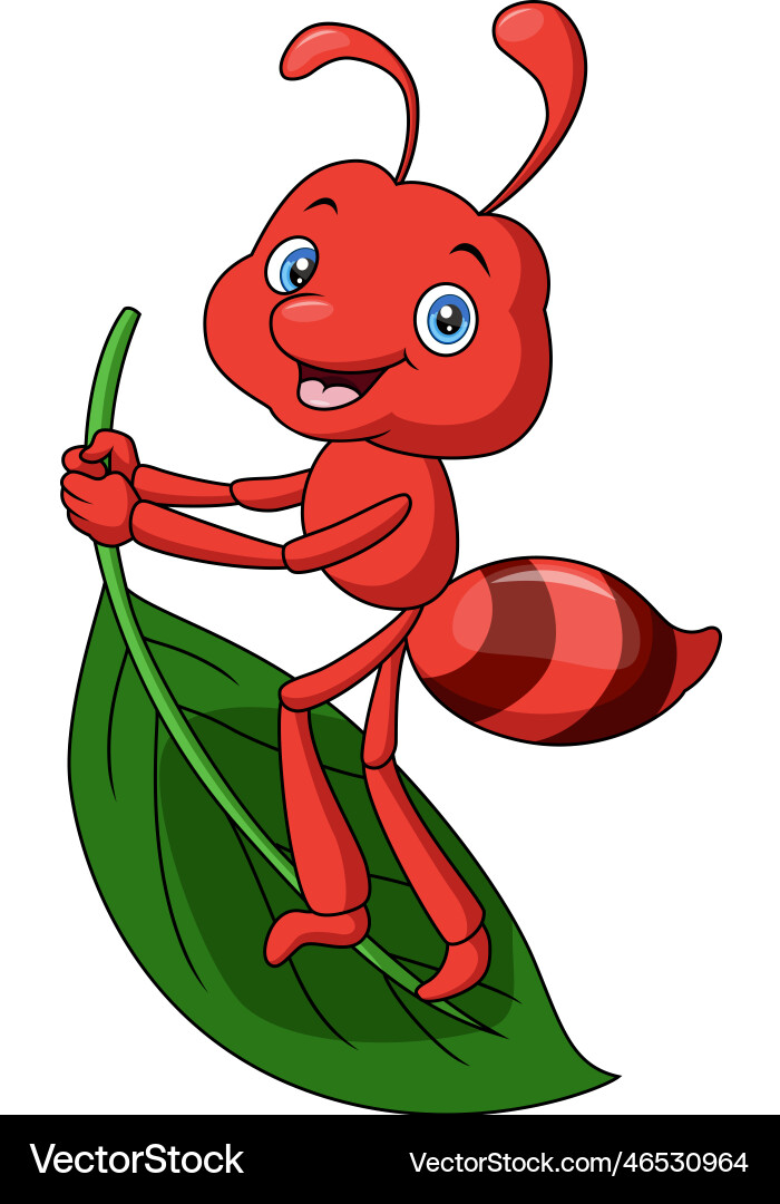 Cute ant cartoon with green leaf Royalty Free Vector Image