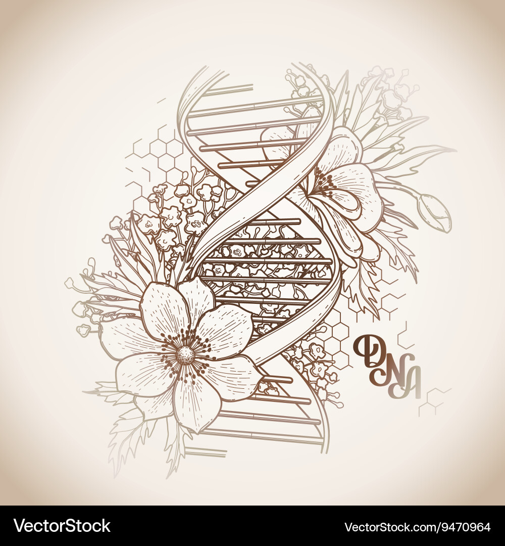 Graphic dna structure Royalty Free Vector Image
