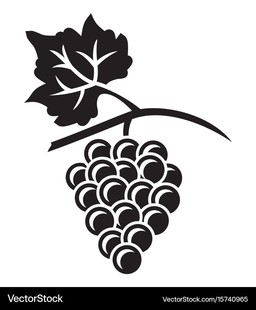 Grape Royalty Free Vector Image - VectorStock