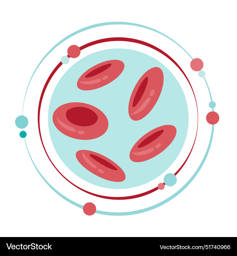 Red blood cell icon Royalty Free Vector Image - VectorStock