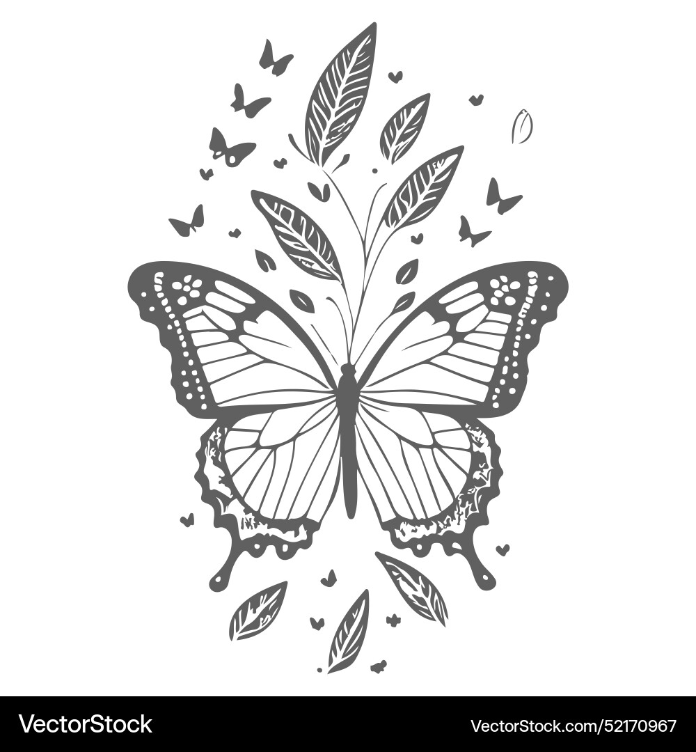 Animal butterfly sketch grey Royalty Free Vector Image