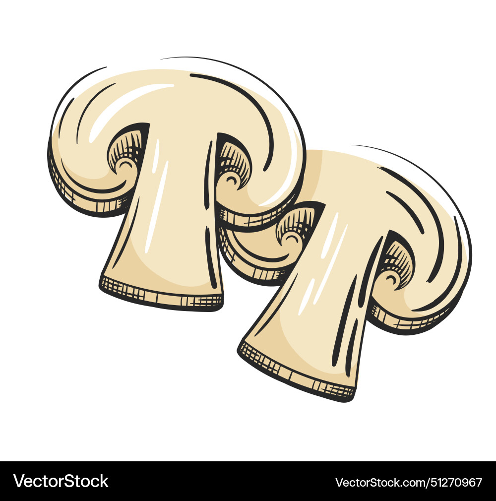 Mushrooms sliced isolated on white background Vector Image