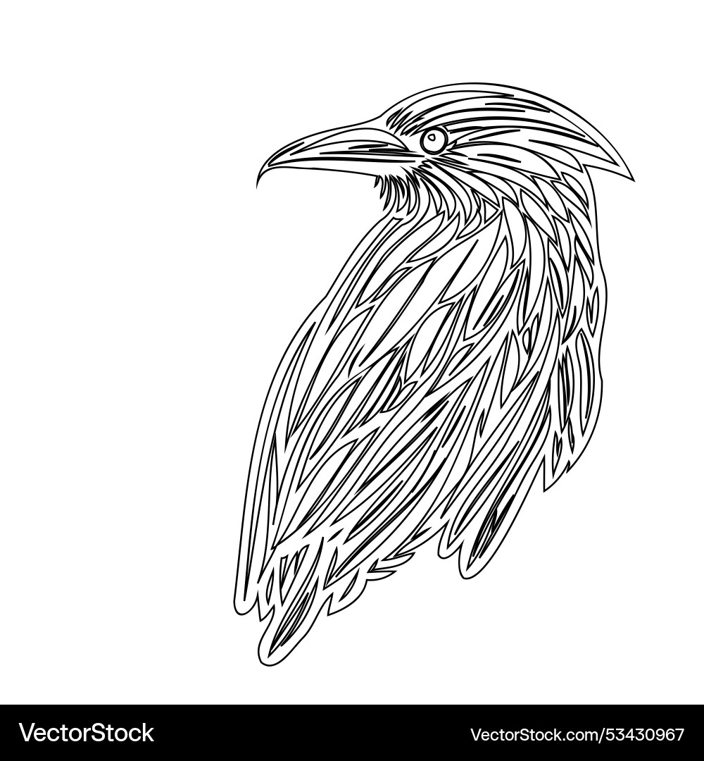 Raven or crow outline sketch Royalty Free Vector Image