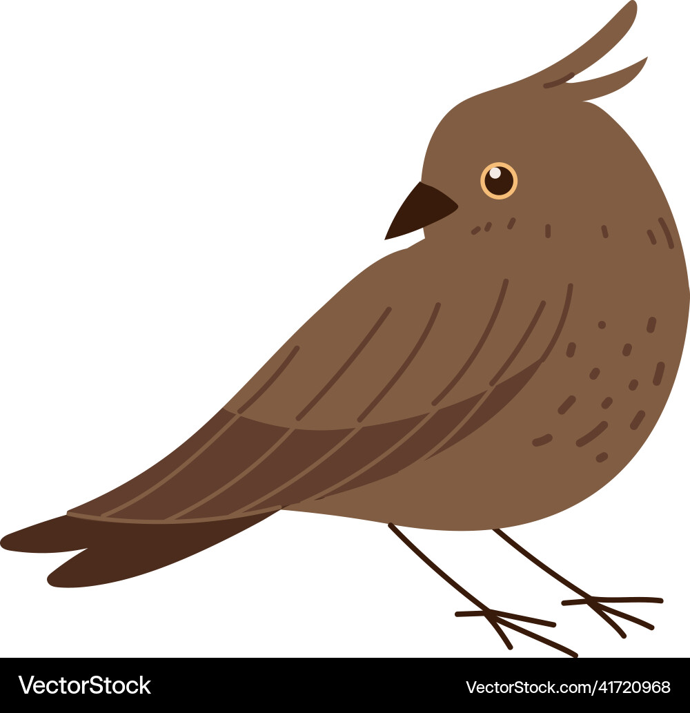 Brown bird icon Royalty Free Vector Image - VectorStock