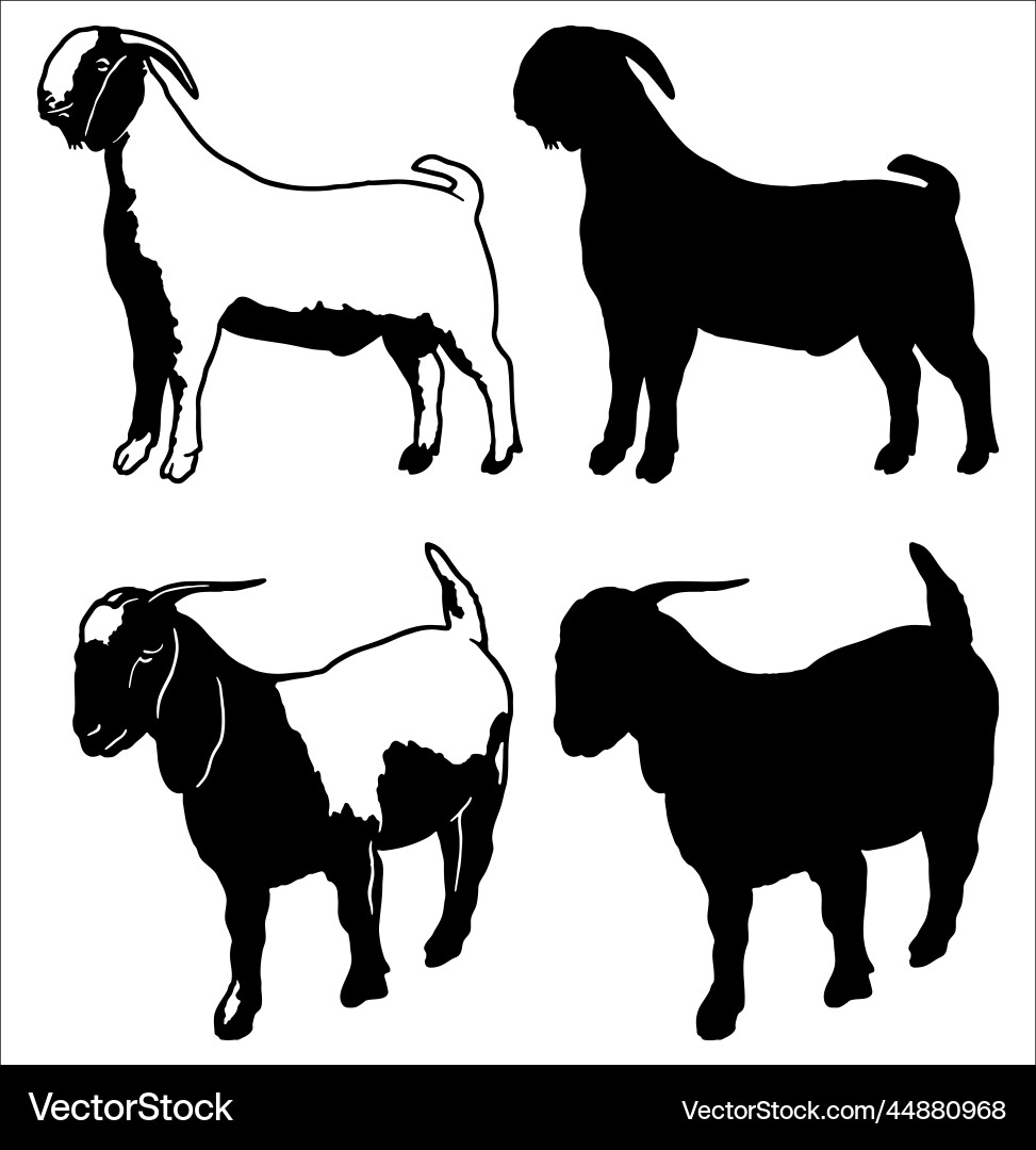 Sheep with horn silhouette collection Royalty Free Vector