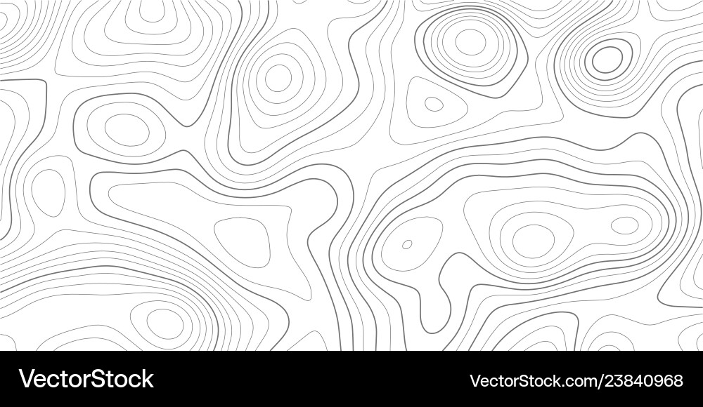 Topographic map and landscape terrain texture Vector Image