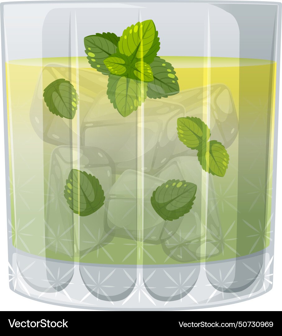 A cold mint lemonade drink Royalty Free Vector Image
