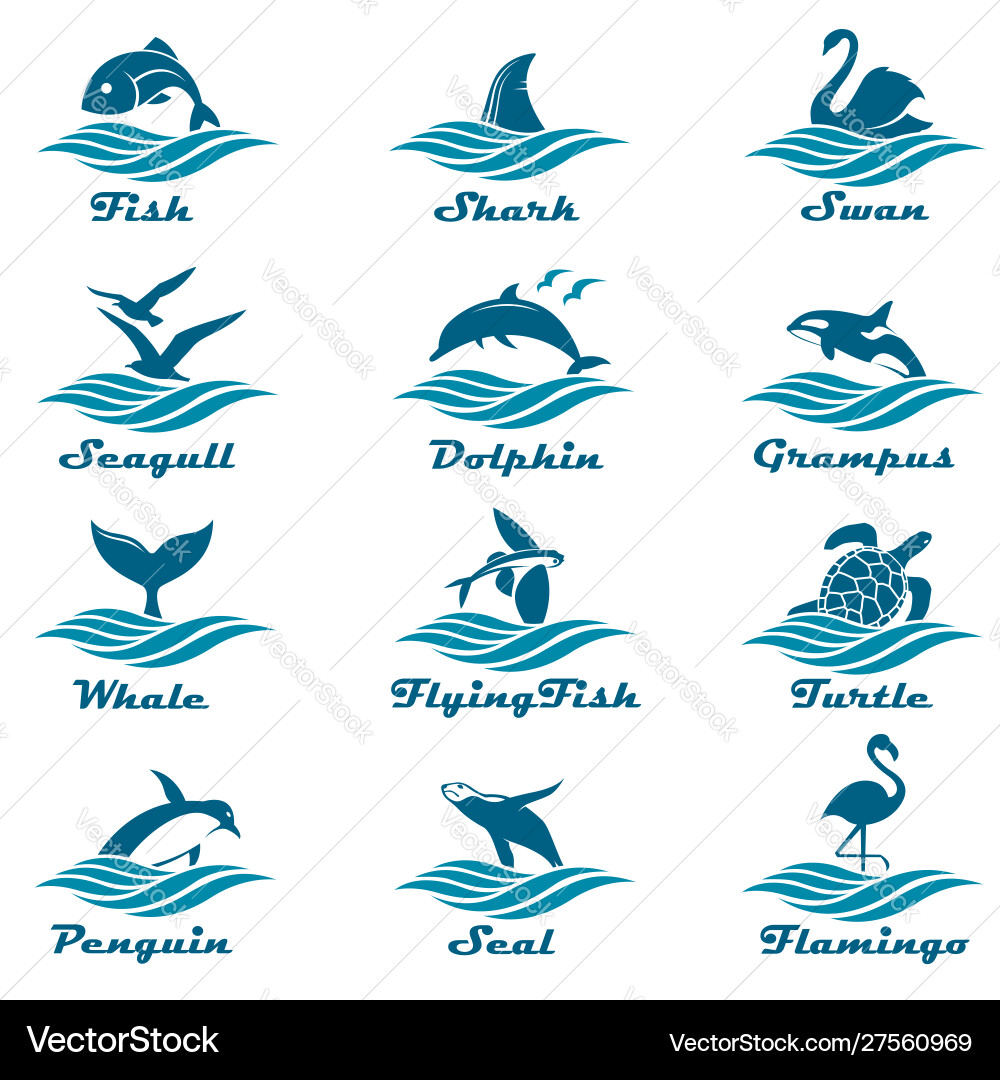 Aquatic animals set Royalty Free Vector Image - VectorStock