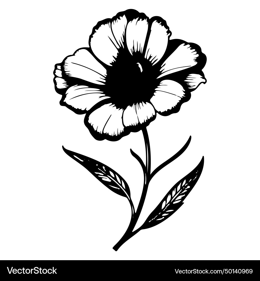 Primrose Flower Sketch - Violet Botanical Art Vector Image