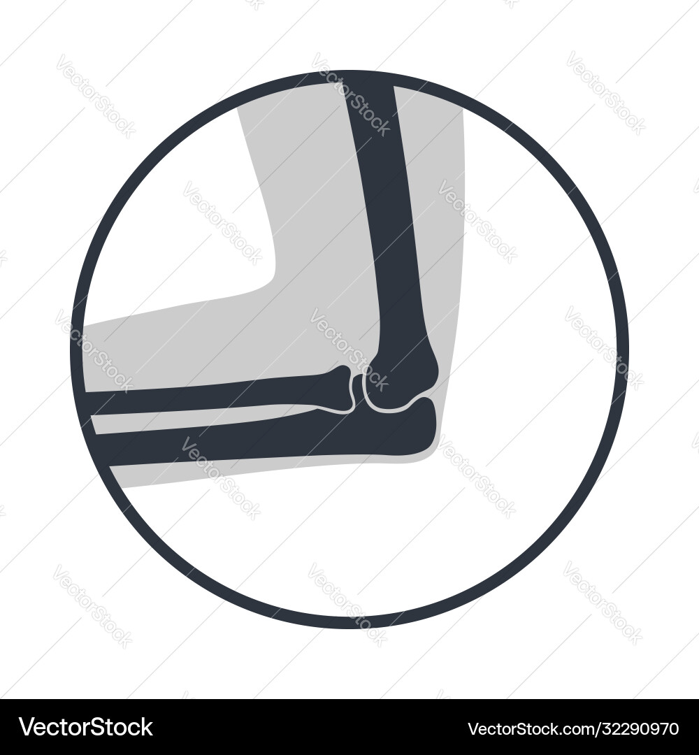 Elbow Royalty Free Vector Image - VectorStock