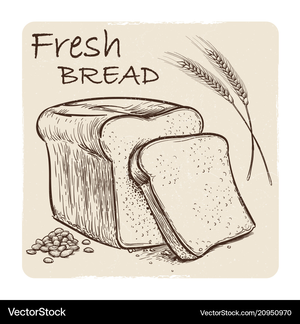 Rustic Bread Sketch with Wheat Royalty Free Vector Image