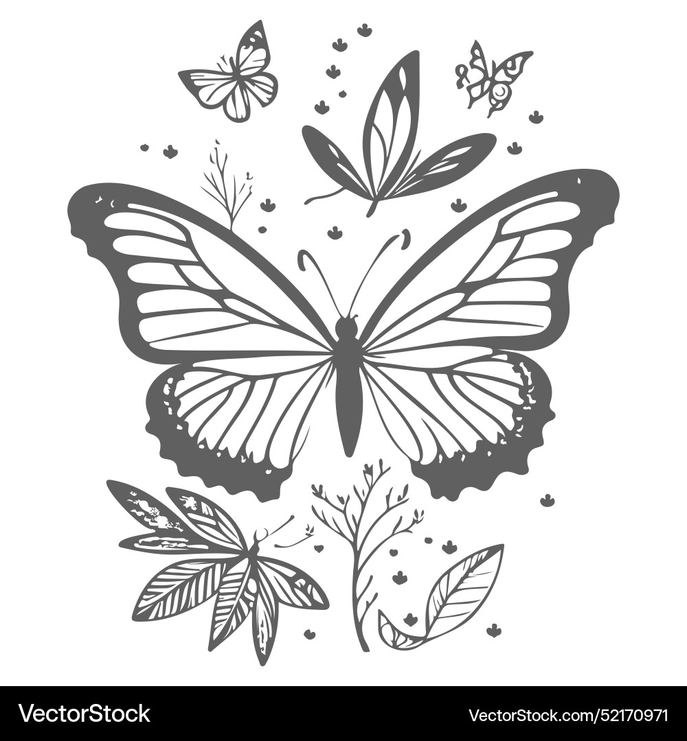 Animal butterfly sketch grey Royalty Free Vector Image